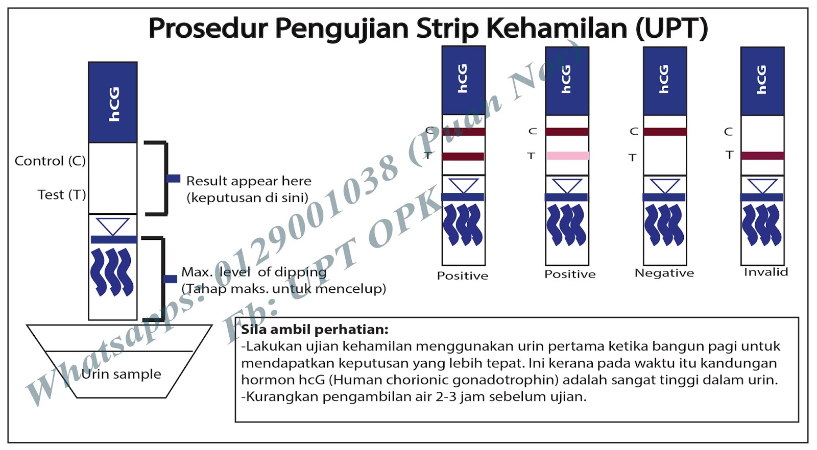 Kegunaan UPT dan OPK: Sharing is Caring