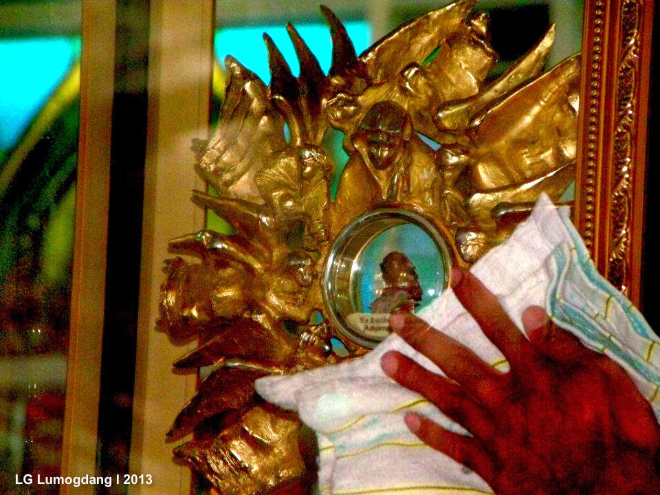 Odd Collars: What's with the bones and skulls?