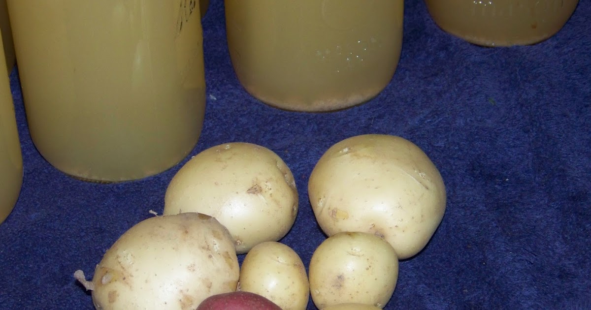 Hickery Holler Farm: New Potatoes