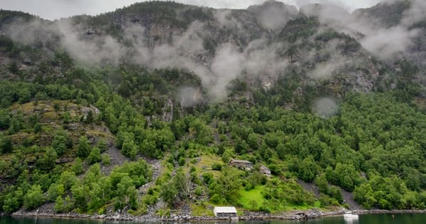 Life Of Amazon - NATURE SCIENTIST
