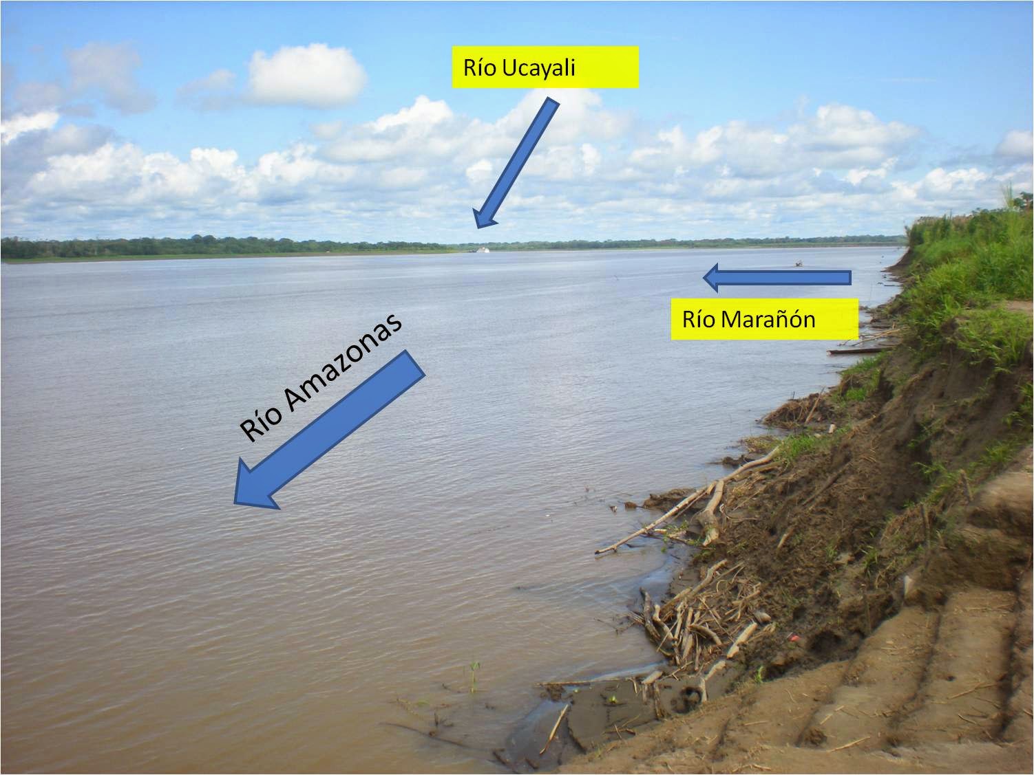 Curso CREAR AMAZONIA - IQUITOS 2014: Viernes 08 al domingo 10 agosto ...