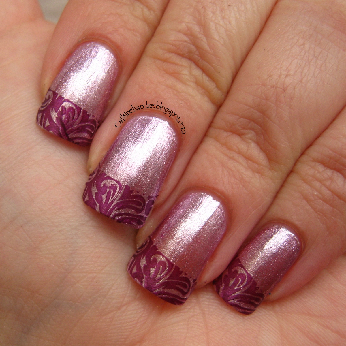 MoYou Nails 81 | Cajkine kandže i sve njihove boje