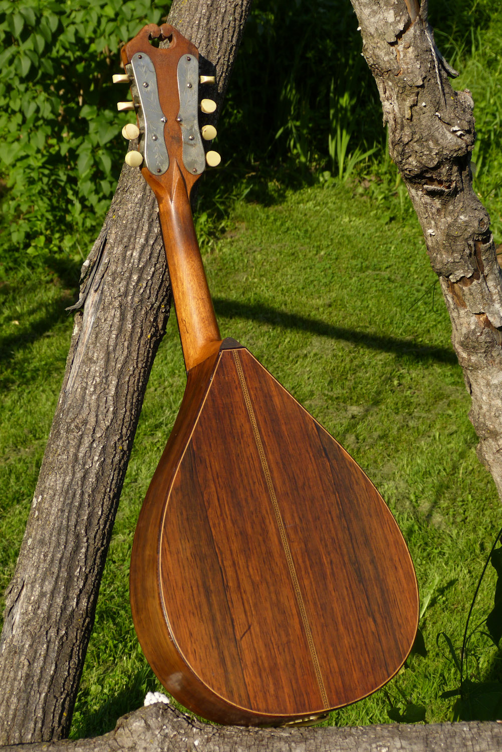 1914 Martin Style B Flatback Mandolin