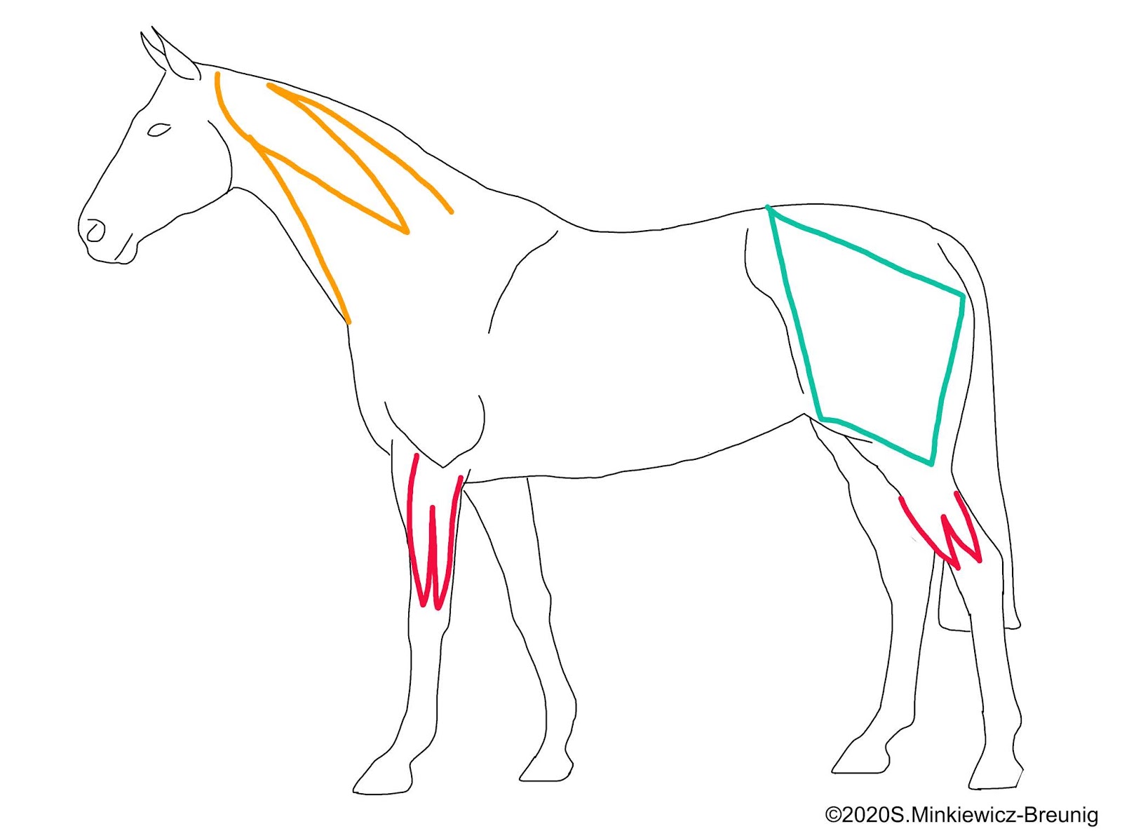 Musings at Minkiewicz Studios LLC: Structural Relationships: More On ...