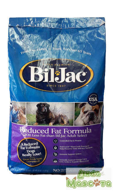 LINDA MASCOTA CONCEPCIÓN: Bil Jac