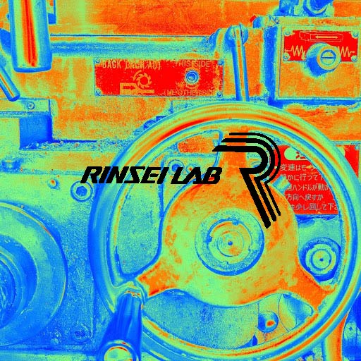 RINSEI LAB: 2020