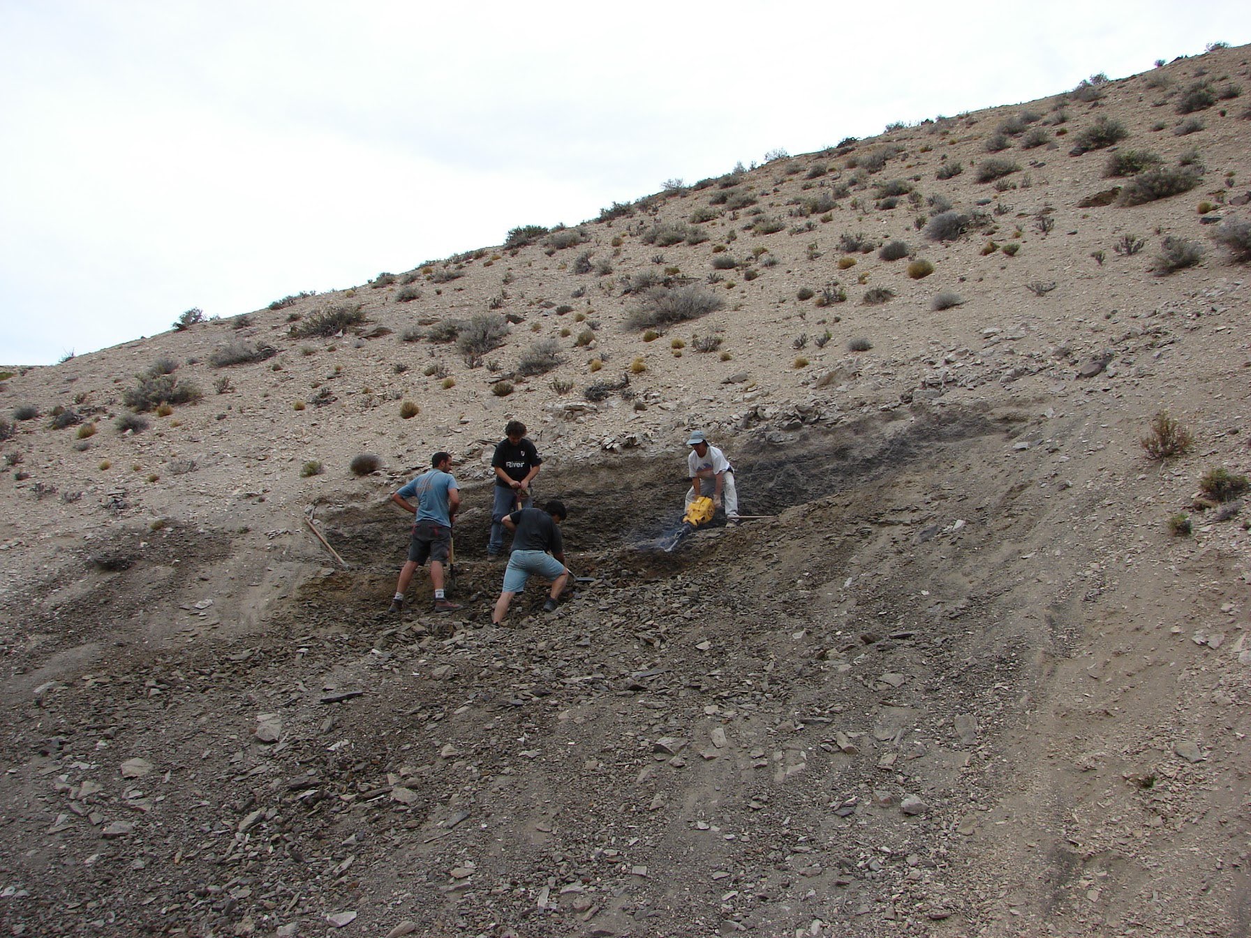 Species New to Science: [Paleontology • 2020] Bagualia alba ...