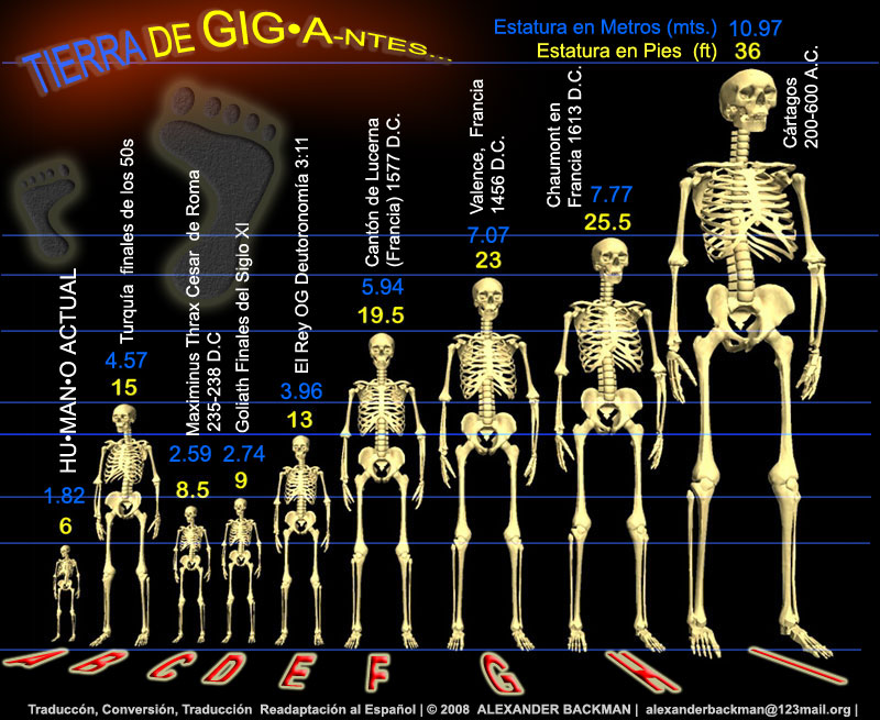 FIM DOS TEMPOS: condições Antediluvianas