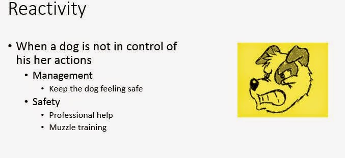 Pet Education: Reactivity. Part I - Definition, Management, Safety