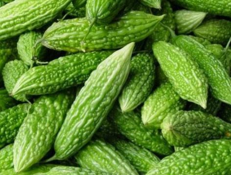 Khasiat manfaat Efek samping Dosis Cara Minum Buah Pare Untuk Kencing ...