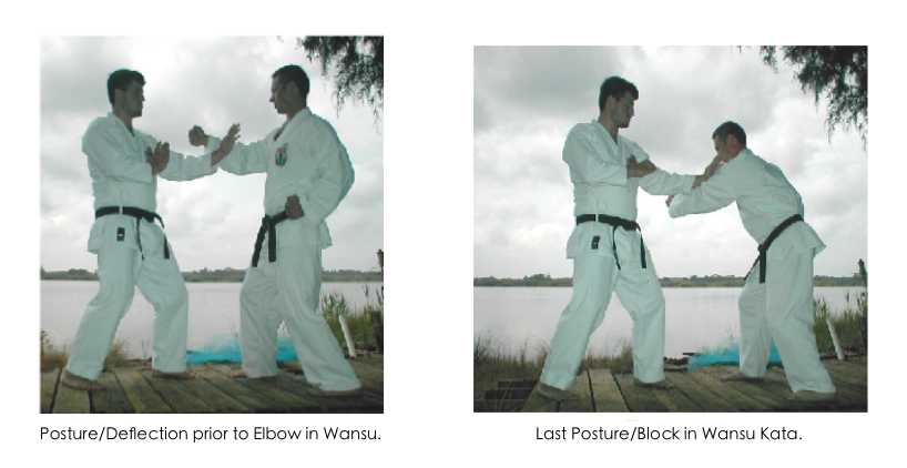 Isshinryu Karatedo Kobudo: The Postures of Isshin-ryu Karate