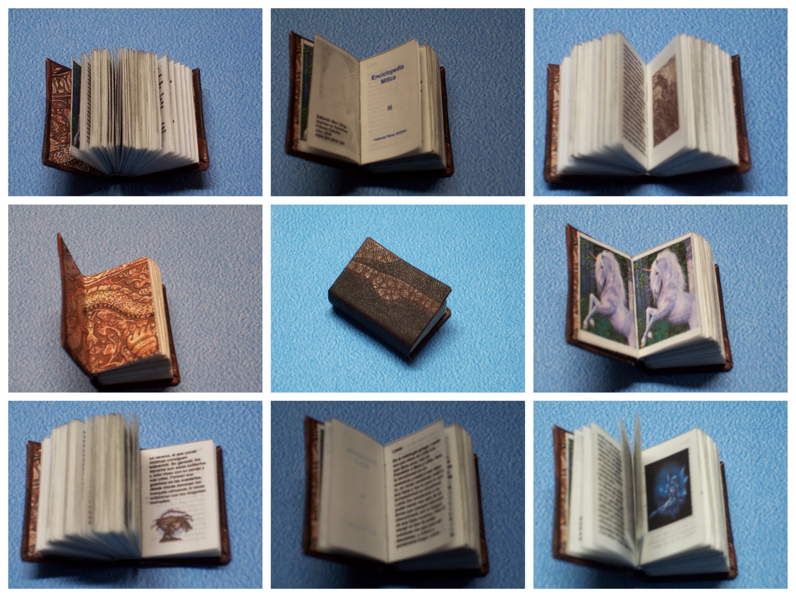 Mis Minis: Libros en miniatura
