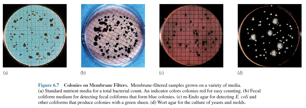 Microbiology Notes: Microbial Growth : Bacterial Growth Curve