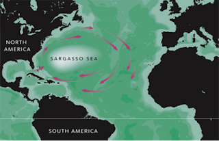 The "Wide Sargasso Sea" Blog: "Wide Sargasso Sea Summary"