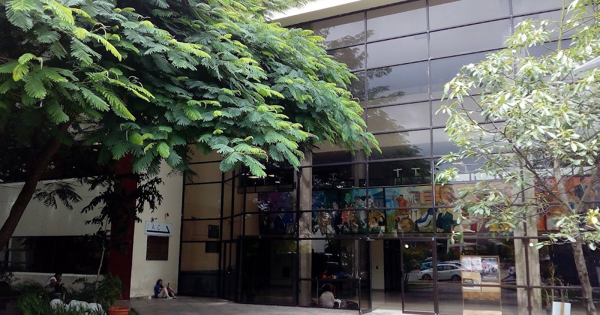 Práctica UPNFM: Imágenes