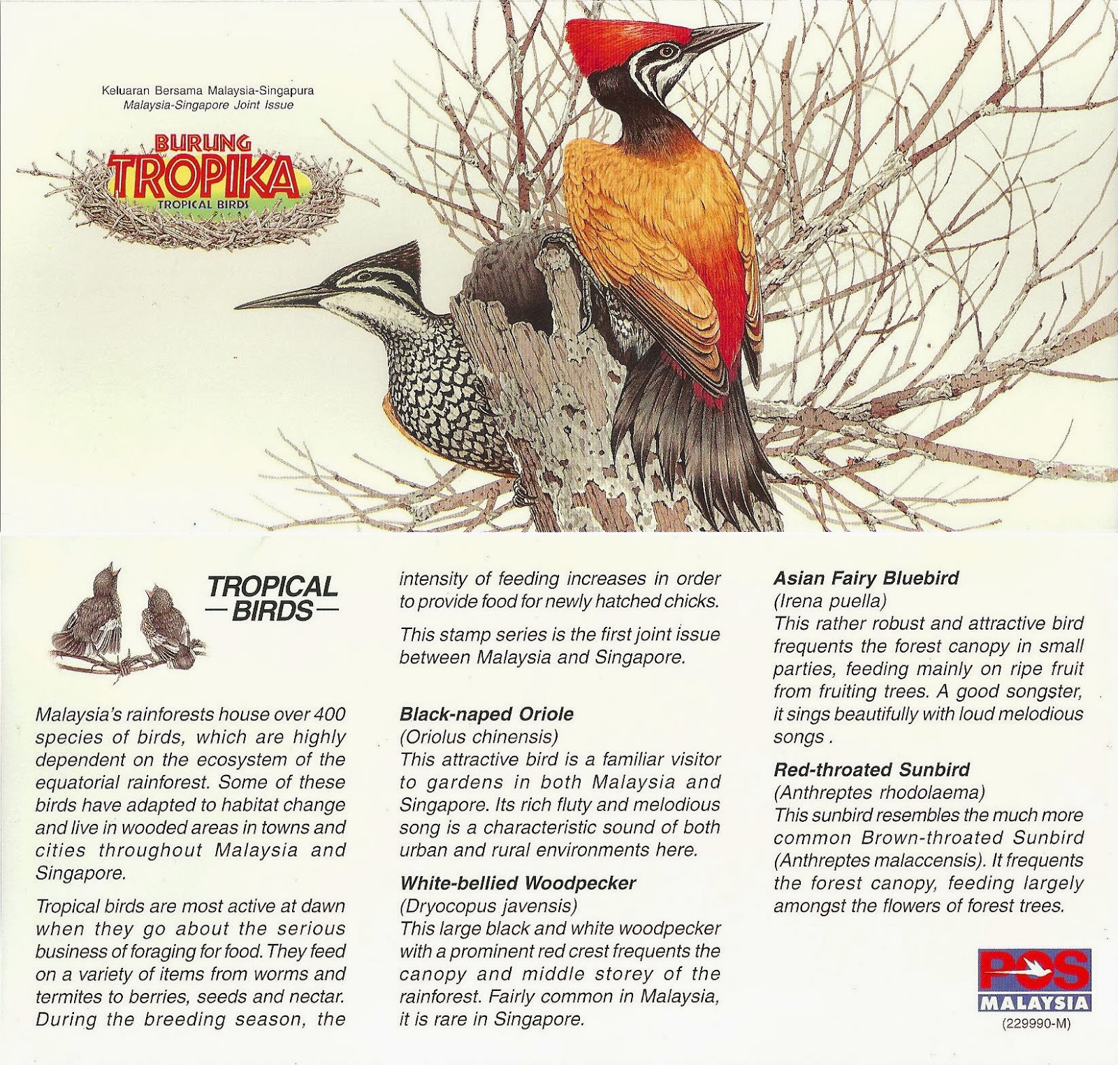 SETEM UNTUK DIJUAL: January 2014