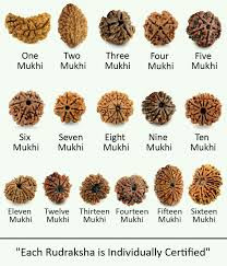 Power Of Rudraksha