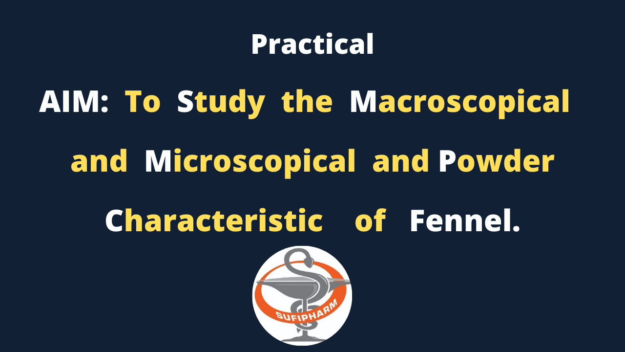 To Study the Macroscopical and Microscopical of Fennel
