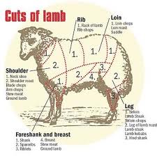 TIPS CARA MEMILIH BAGIAN DAGING KAMBING | Resep Masakan Kreatif™
