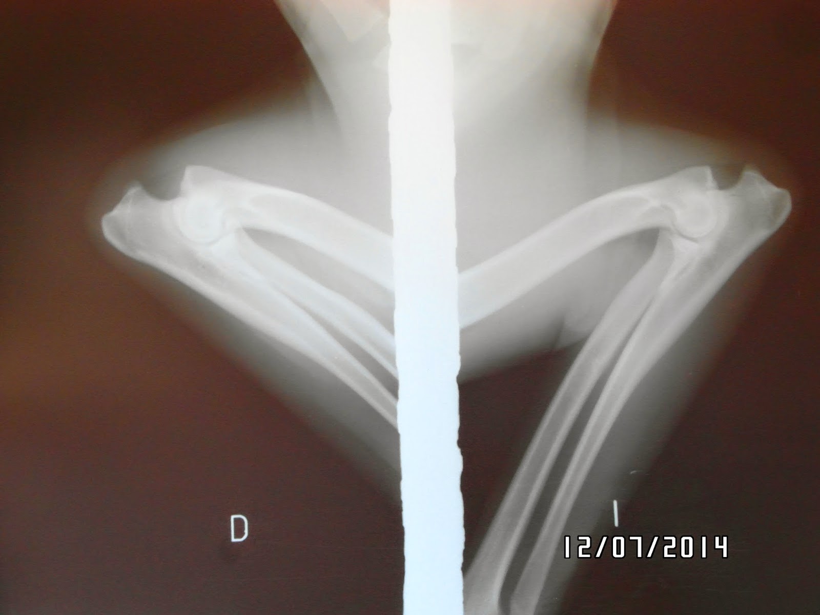 MBARETÉ BOXER: junio 2014