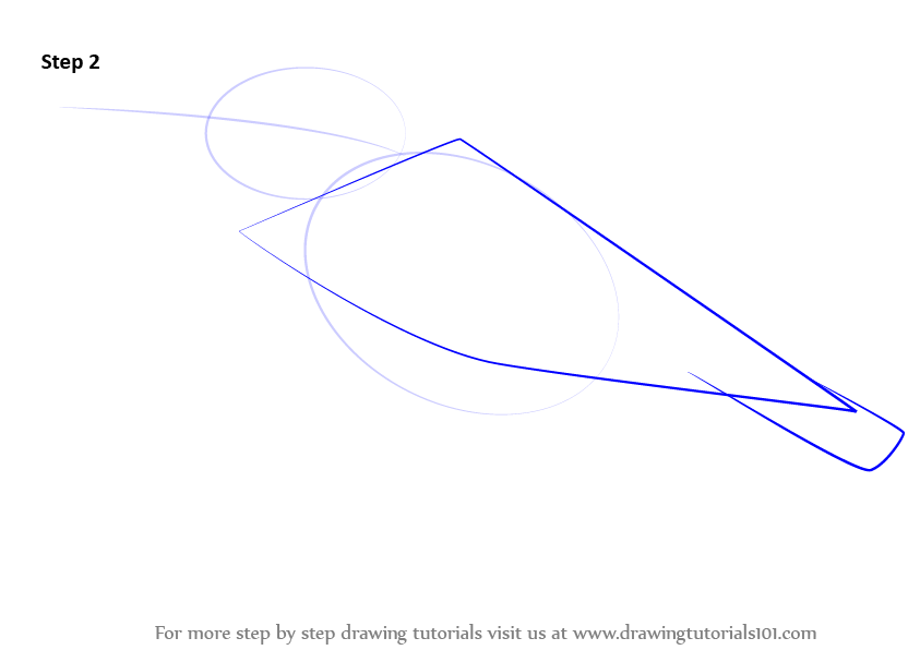 How to Draw Birds: Draw Realistic Animals - Red-breasted nuthatch