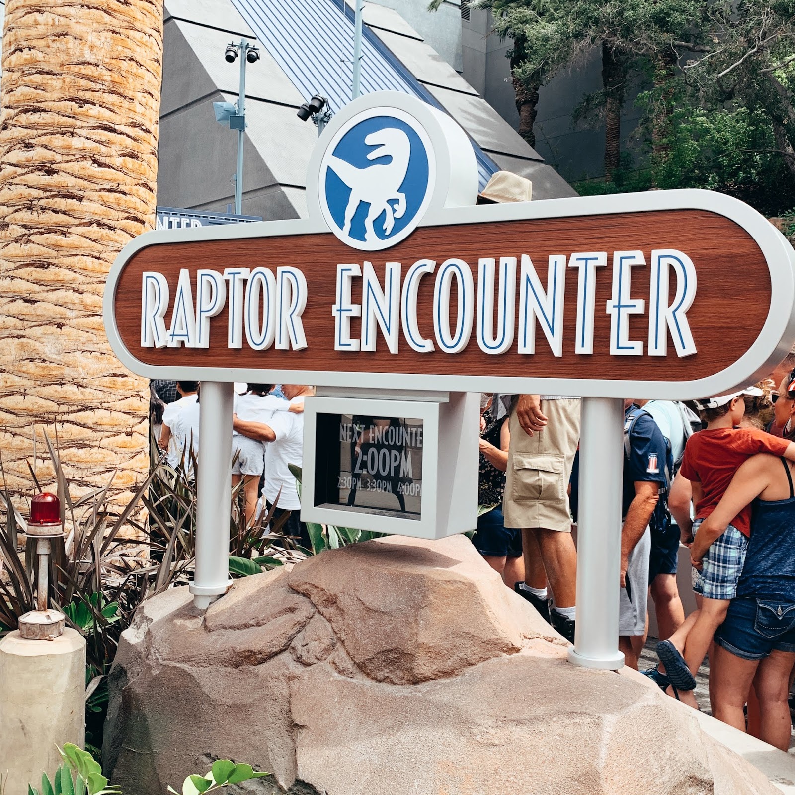 Summer Days at Universal Studios Hollywood - THE PATRICIOS