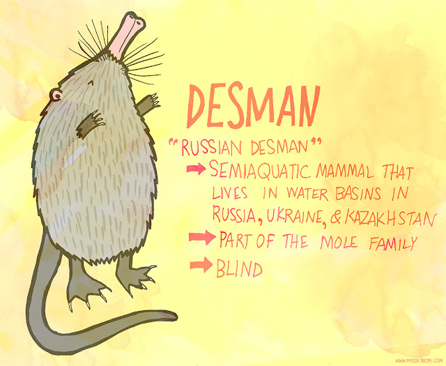 My Zoetrope: 068: Desman