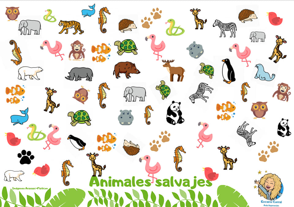 AULA DE SUPERACIÓN: ⭐ VEO VEO