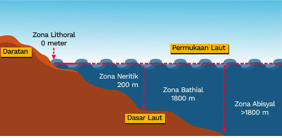 Pembahasan Kunci Jawaban KSK Kebumian 2020 No 56-60 - Guru Geografi