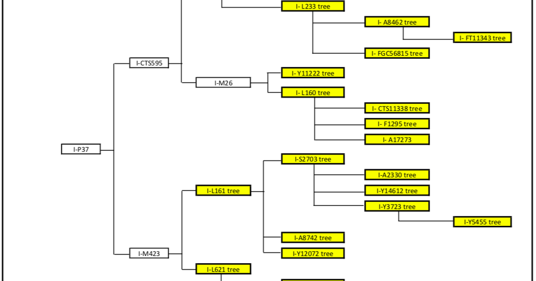 I-P37.2 haplogroup research: Guide to our draft trees for different ...
