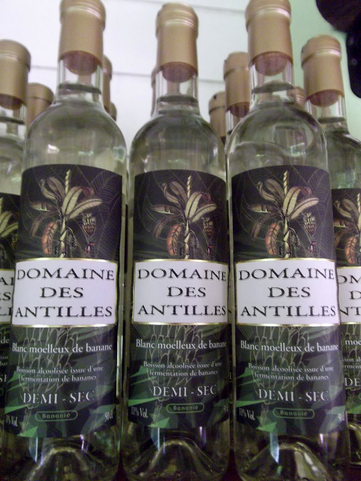 Julien & Aurélie destination Martinique, les Caribous et le pays du ...