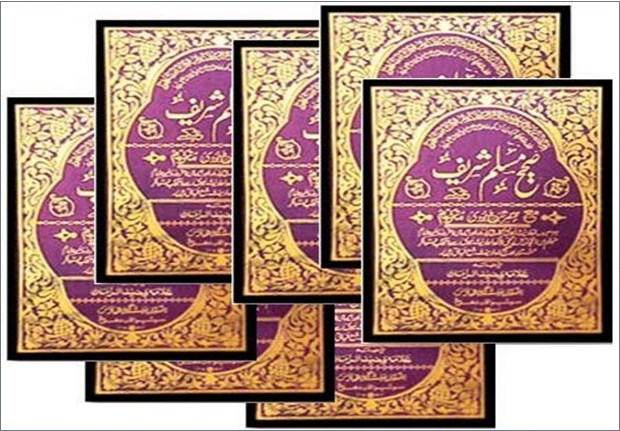 Mubz Companion Download Free Mukhtasar Sahih Muslim V4 5 A Search Software In Urdu Mubz Companion Download Free Mukhtasar Sahih Muslim V4 5 A Search Software In Urdu