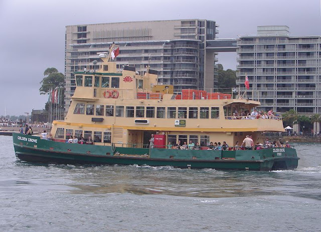 Snap Happy Birding: January 2012