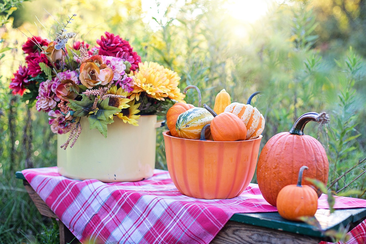 How to Make the Most of Autumn: 100 Fun Autumn Bucket List Ideas to Try