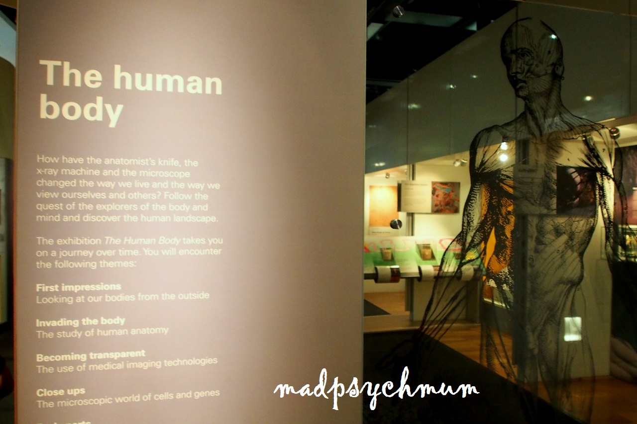 MadPsychMum | Singapore Parenting + Travel Blog: Melbourne II Day 5 ...