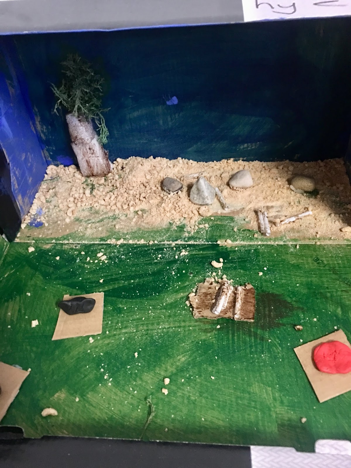 Ms. Yong: Science Dioramas