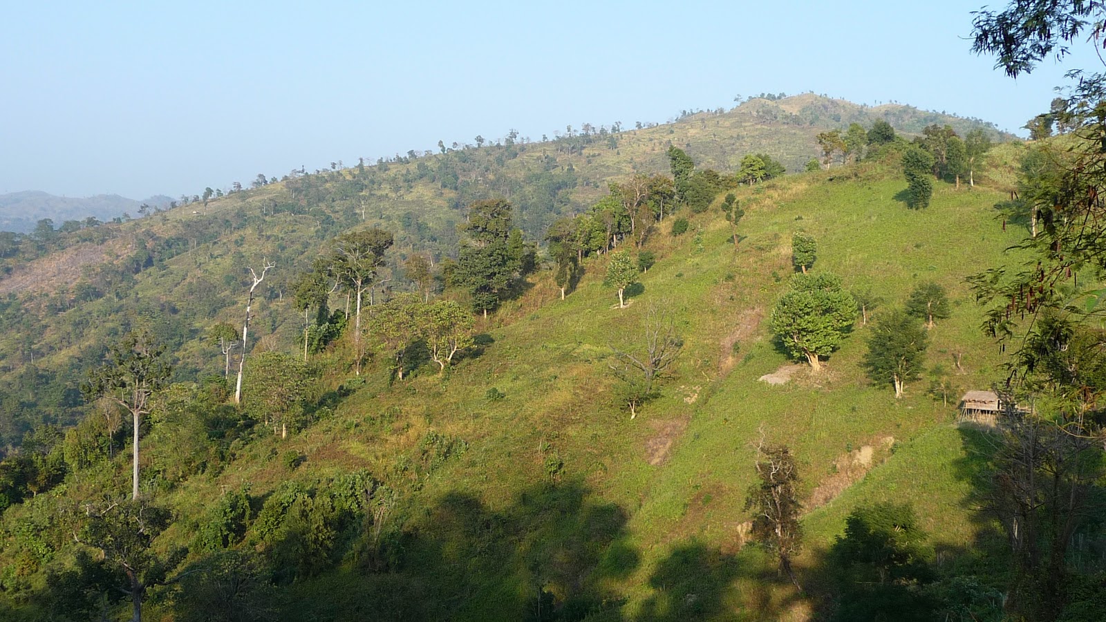 Beauty of Nature: Tajingdong : The highest hill of Bangladesh
