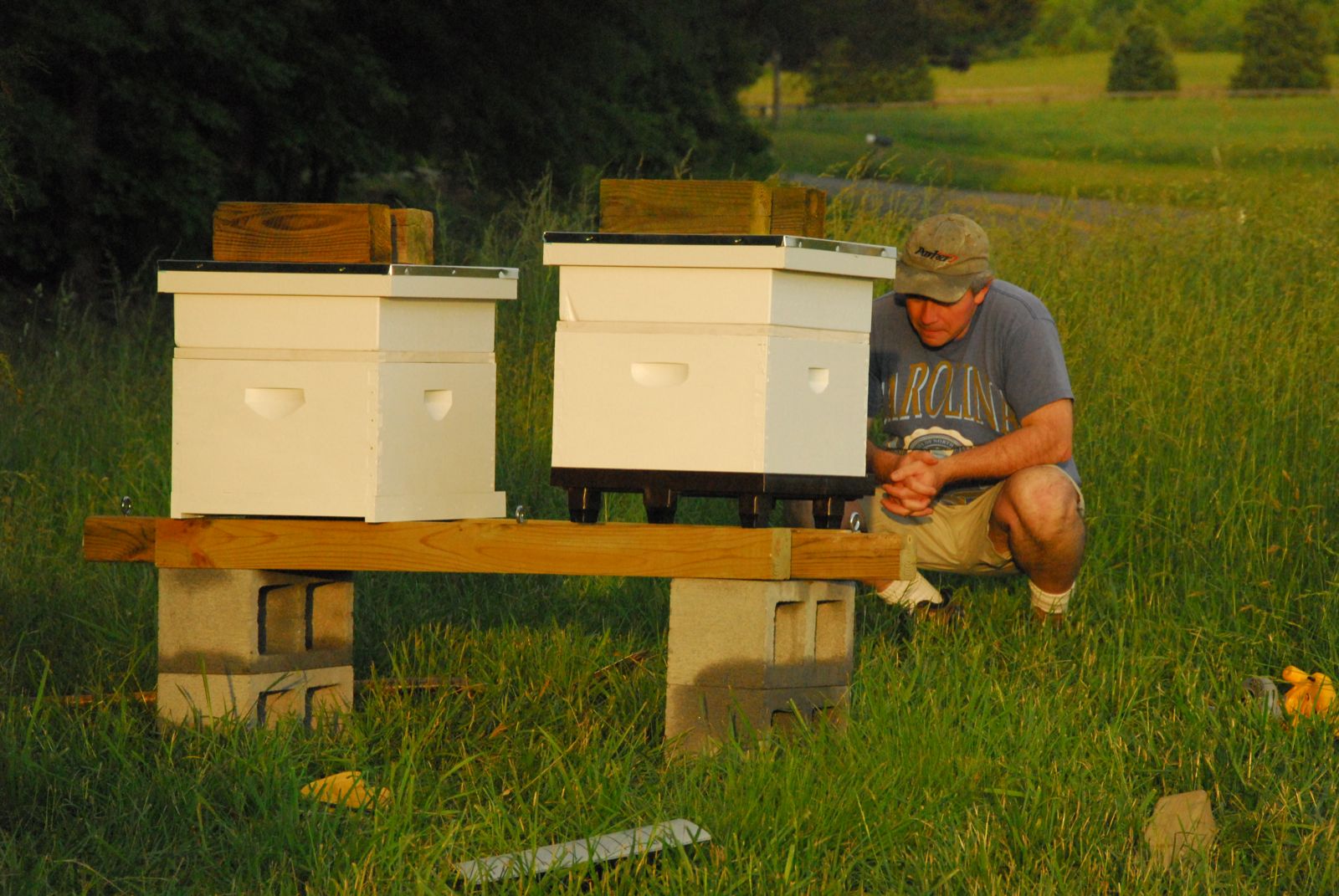 CONCRETE to CHICKENS: Bee Hive Setup