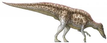 Species New to Science: [Paleontology • 2007 / Invalid] Zhuchengosaurus ...