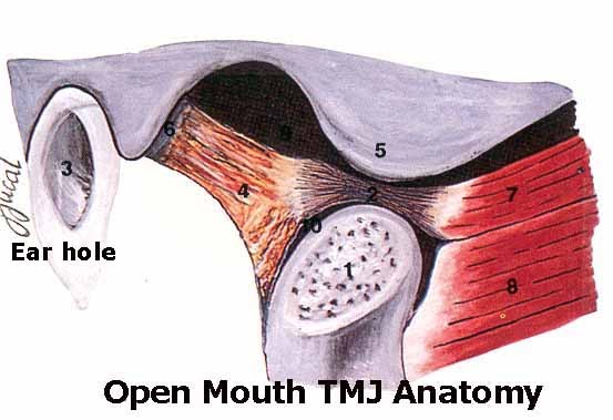 Crystal Lake Dental's Hot topics: TMJ, TMD,MPD...what is it?