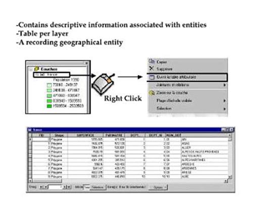 Tutorial ArcGis: Working with Tables Part1
