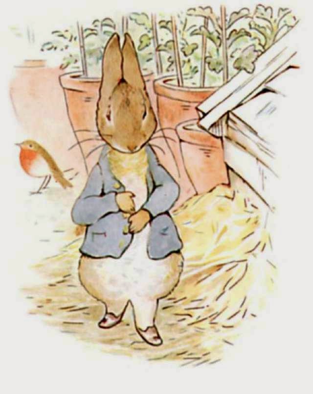 Slikanice za otroke (in odrasle): Izbrane povesti Beatrix Potter