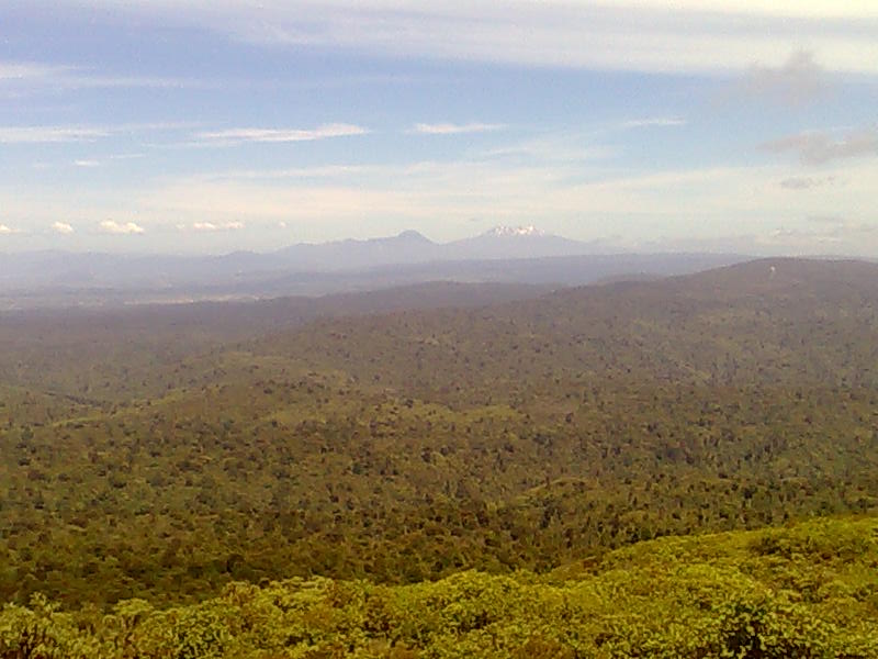 2012 Peakbagging Mission: Mt Pureora (1,165m)