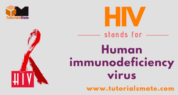 HIV Full Form: What is the full form of HIV? - TutorialsMate