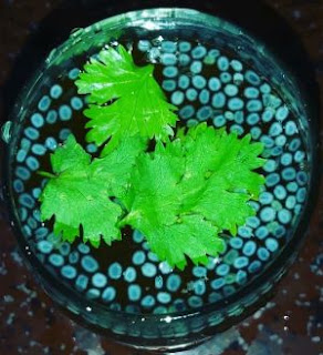 NANNARI /SUGAANDHA SARBATH JUICE RECIPE IN 3METHODS 2021/Masthani’s kitchen