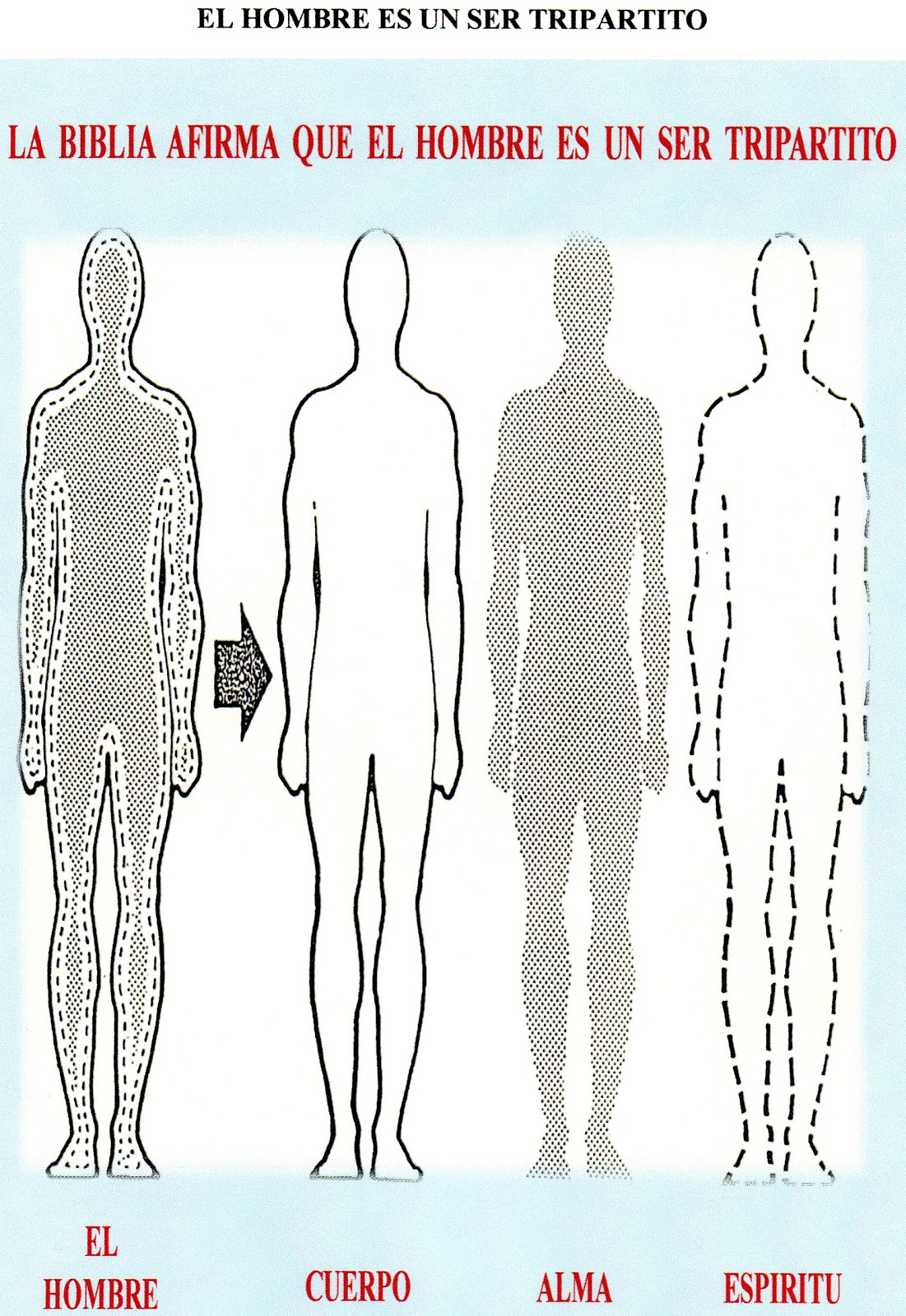 WORDS FOR LIVING/ PALABRAS QUE DAN VIDA: EL HOMBRE ES UN SER TRIPARTITO