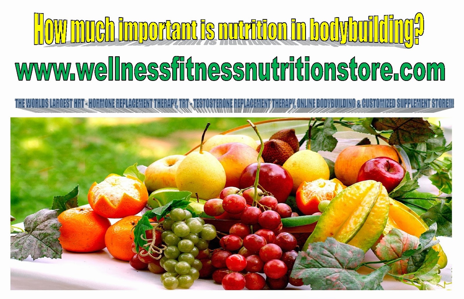 Wellness Fitness Nutrition Store: How much important is nutrition in ...
