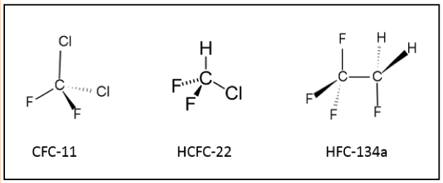 Science For All - Ciência para Todos: T121