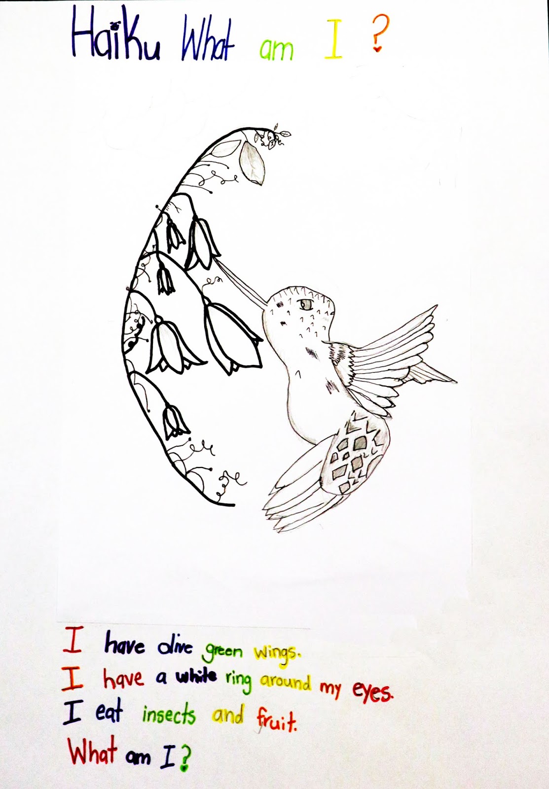 Rotorua Artist Janet Keen's Photography, Mosaics, Paintings & Writing ...