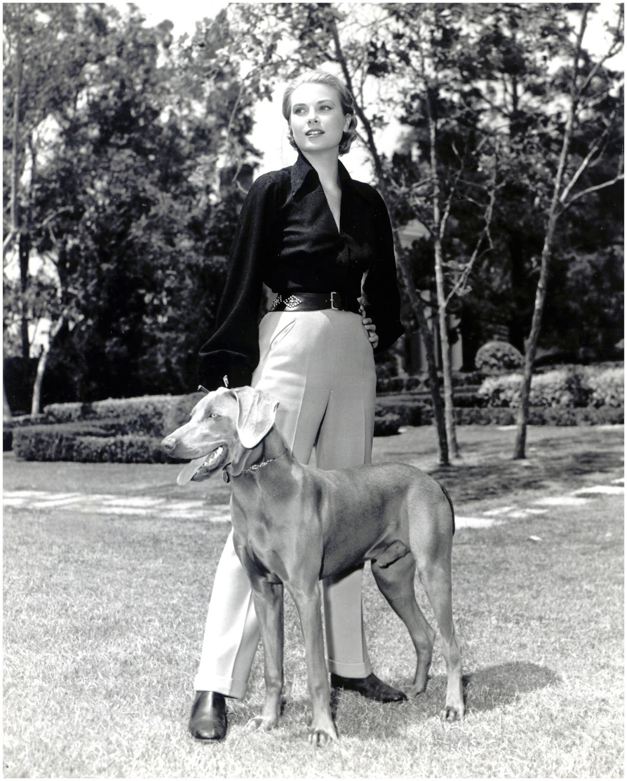 Royalty & Pomp: THE ANIMAL